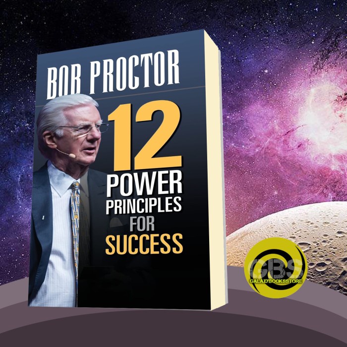 Book 12 Power Principles for Success Bob Procto | Shopee Philippines