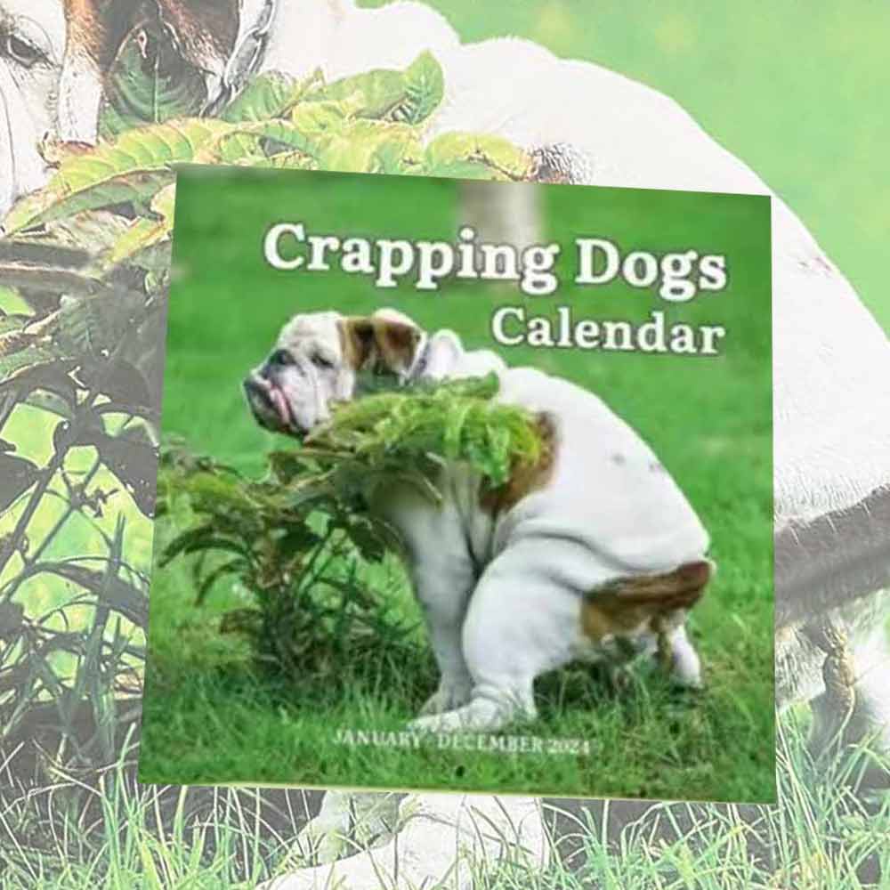 2024 Wall Calendar 12 Monthly Pooping Dogs Calendar Funny Dog Calendar ...