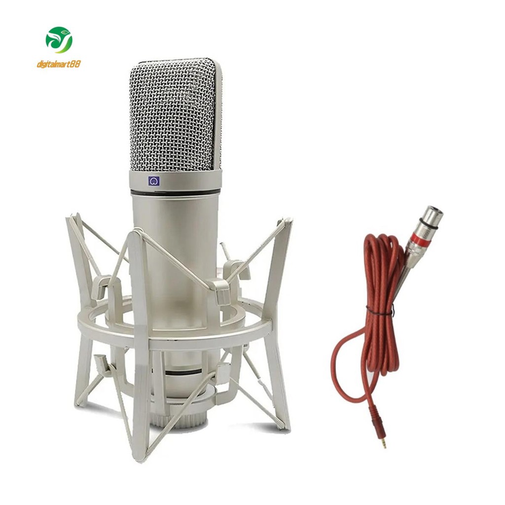 Metal Professional Microphone Condenser Microphone Studio Microphone ...