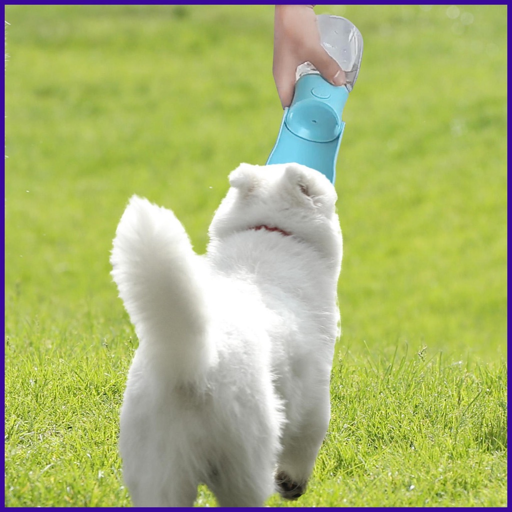 Portable Dog Water Bottle 350ml Foldable Pet Drinking Water Bottle ...