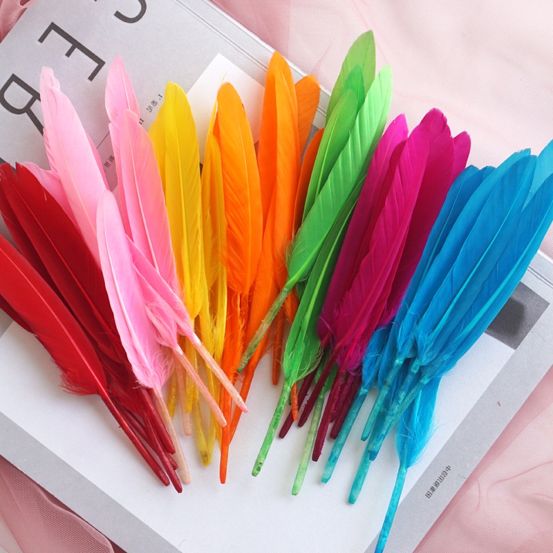 100Pcs 12-18cm Colored Goose Plumes for Needlework and Handicrafts DIY ...