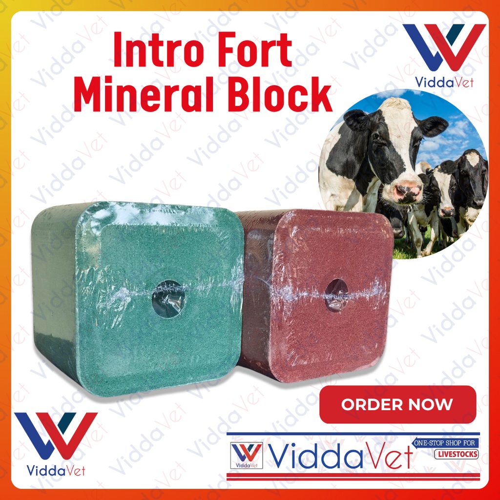 Viddavet Intro Fort Block Mineral Block 5kgs Holland for Cattle Sheep ...