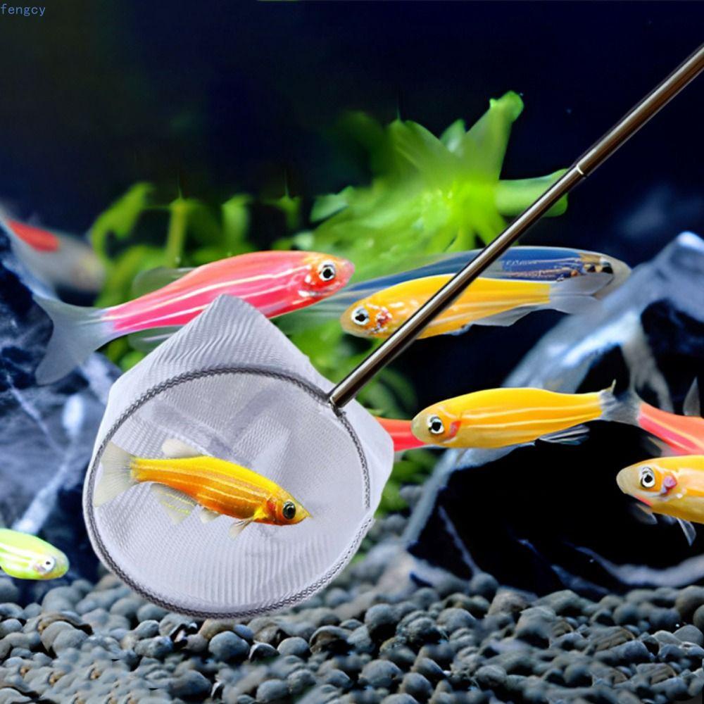 FENGCY Goldfish Net, Telescopic Long Handle Fish Tank Fish Nets, Catch ...