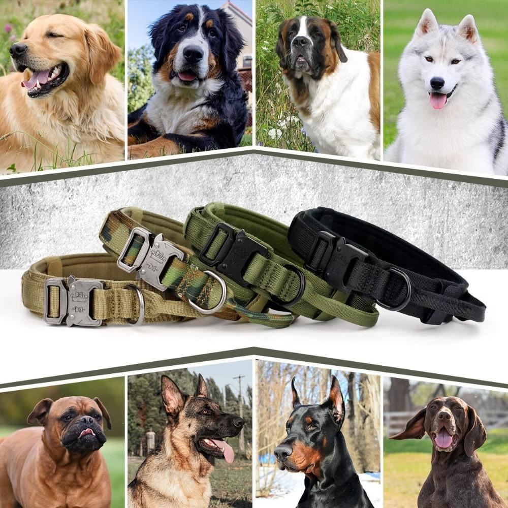 DODO Dog Collar and Leash Set Tactical Style Military Adjustable German ...