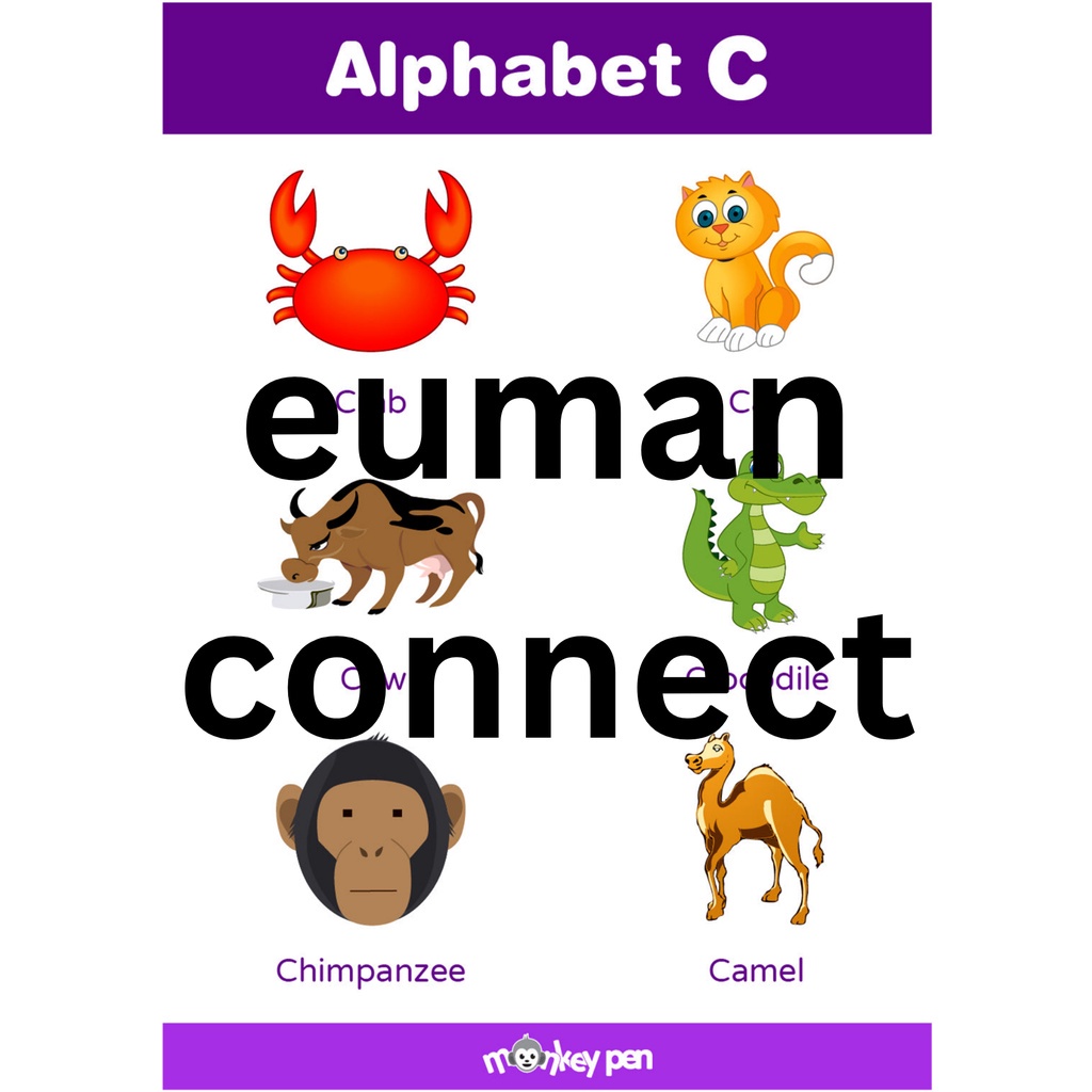 【hot sale】 ABC Chart for Kids-Waterproof Vinyl Sticker Glossy-A4 size ...