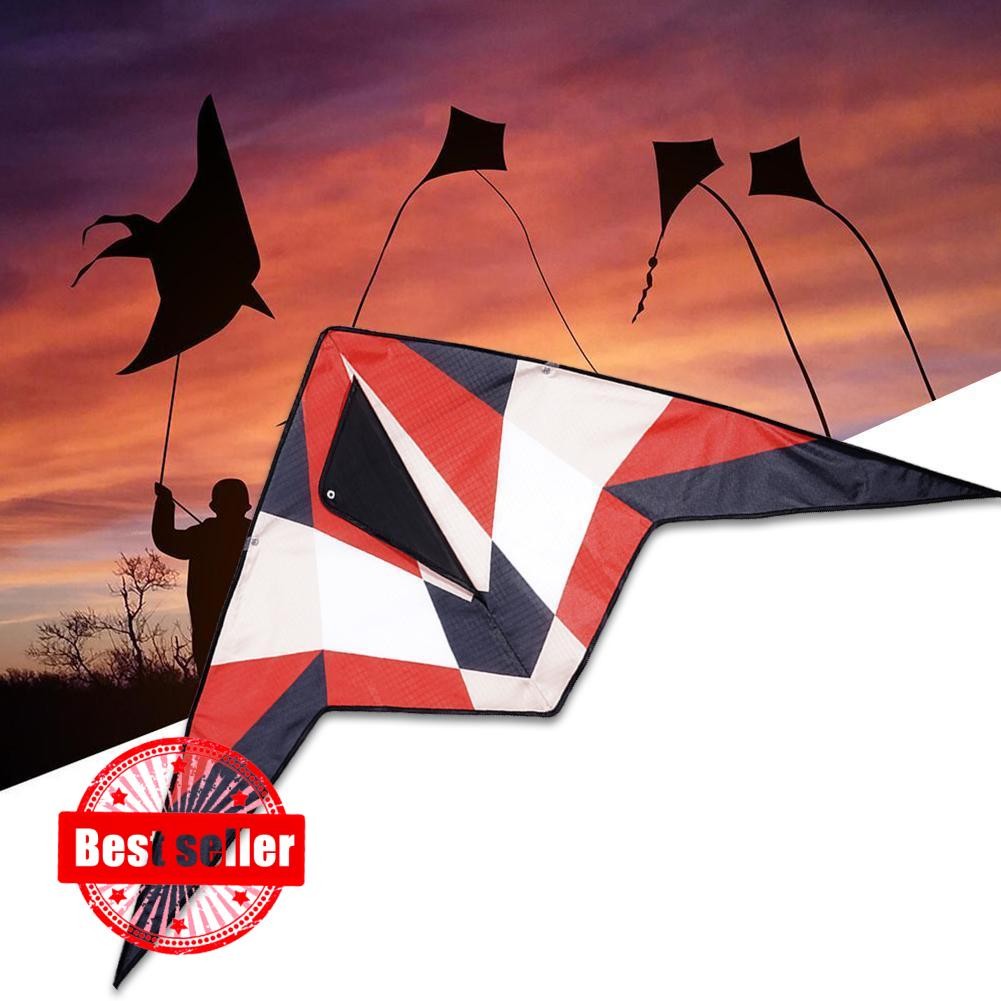 Kite Long Tail Rainbow Color Striped Triangle Airplane Eagle Kite Reel ...