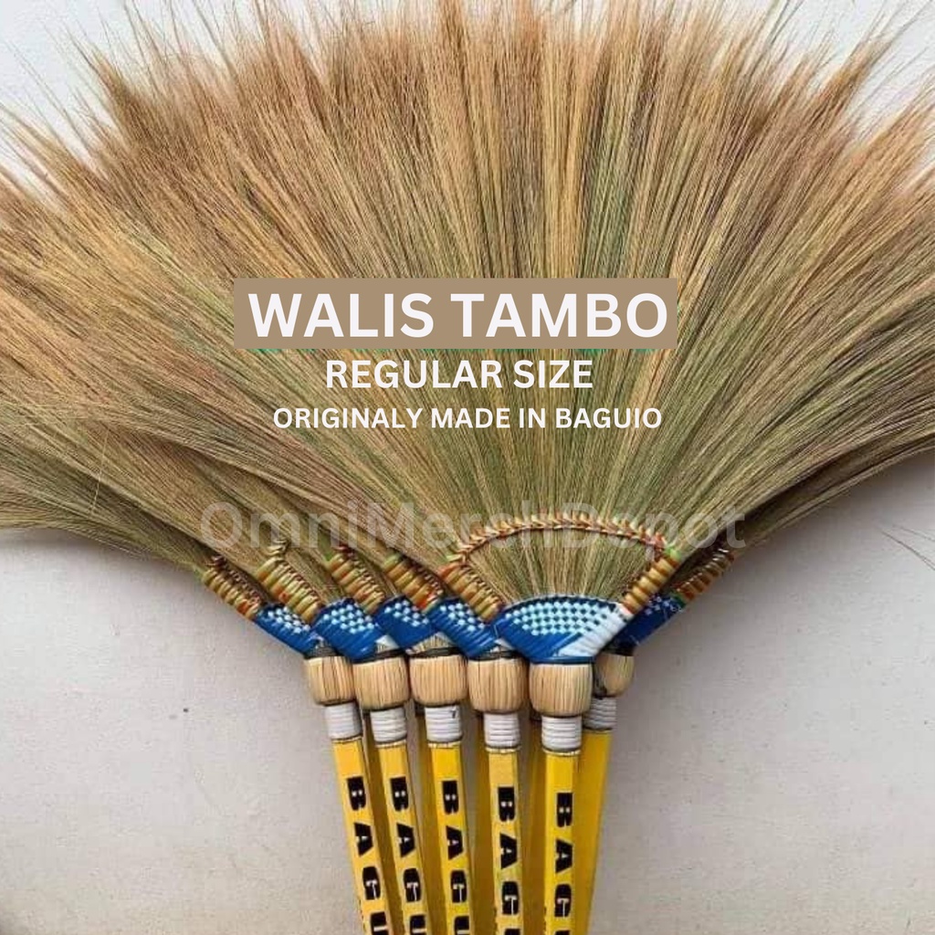 Regular Size Soft Broom Walis Tambo Makapal & Matibay Wood Handle Made ...