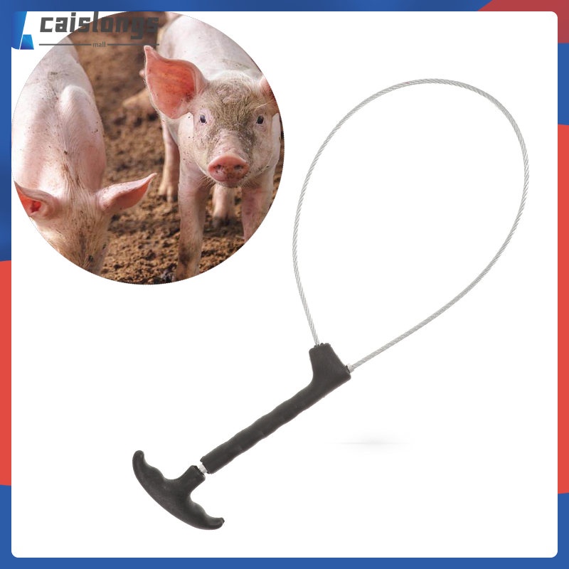 Holder Catcher Pig Setter Dog Control Pole Stainless Steel Catching ...
