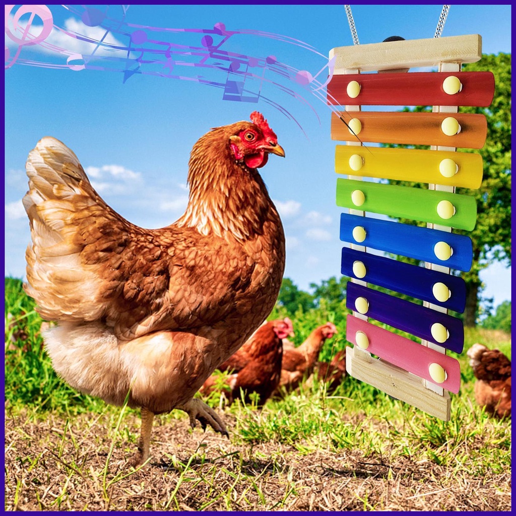 Xylophone for Chickens Wood Coop Xylophone Toys for Chicken Bright ...
