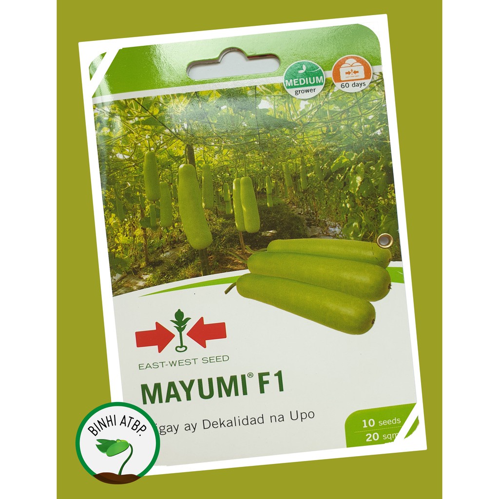 ♞East-west Mayumi F1 Upo (Bottle Gourd) Seeds (1 Pack - 10 Seeds ...