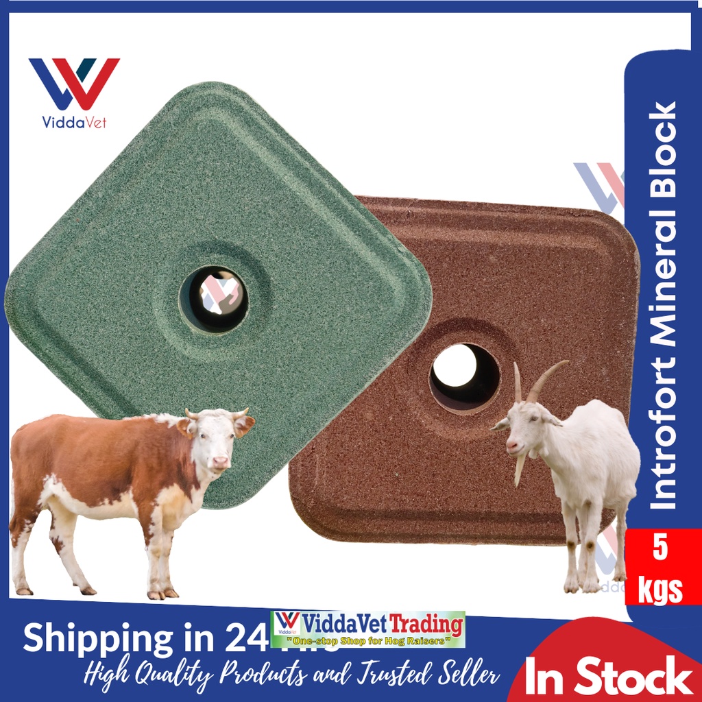 VitalGoat Mineral Block - Premium Supplement for Stronger Goats Mineral ...