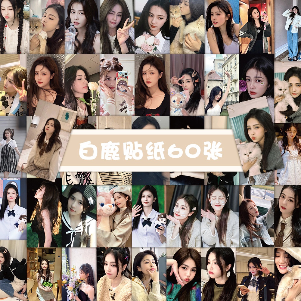 60pcs/set Lu Bai 白鹿 High definition sticker for notebook DIY decoration ...