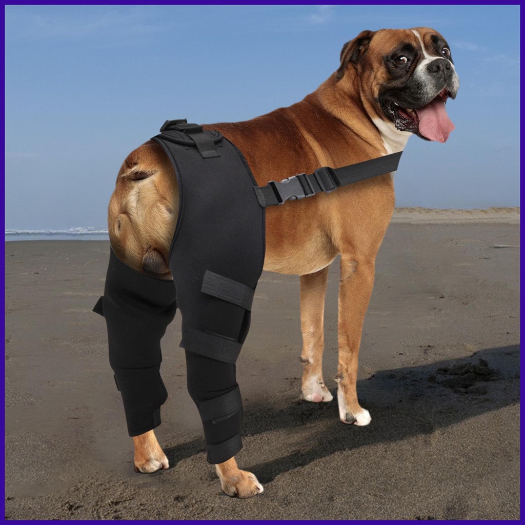 Dog Hip Brace Adjustable Pet Dog Legs Protector Supporter Knee Brace ...