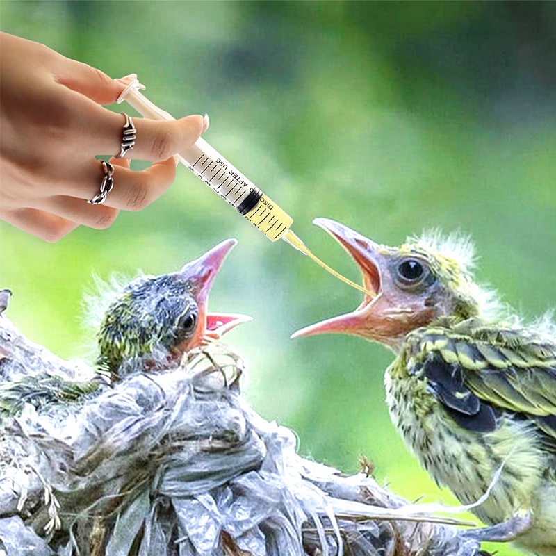 50/100Pcs Young Bird Feeding Soft Hose Young Birds Feeding Tool Feeding ...
