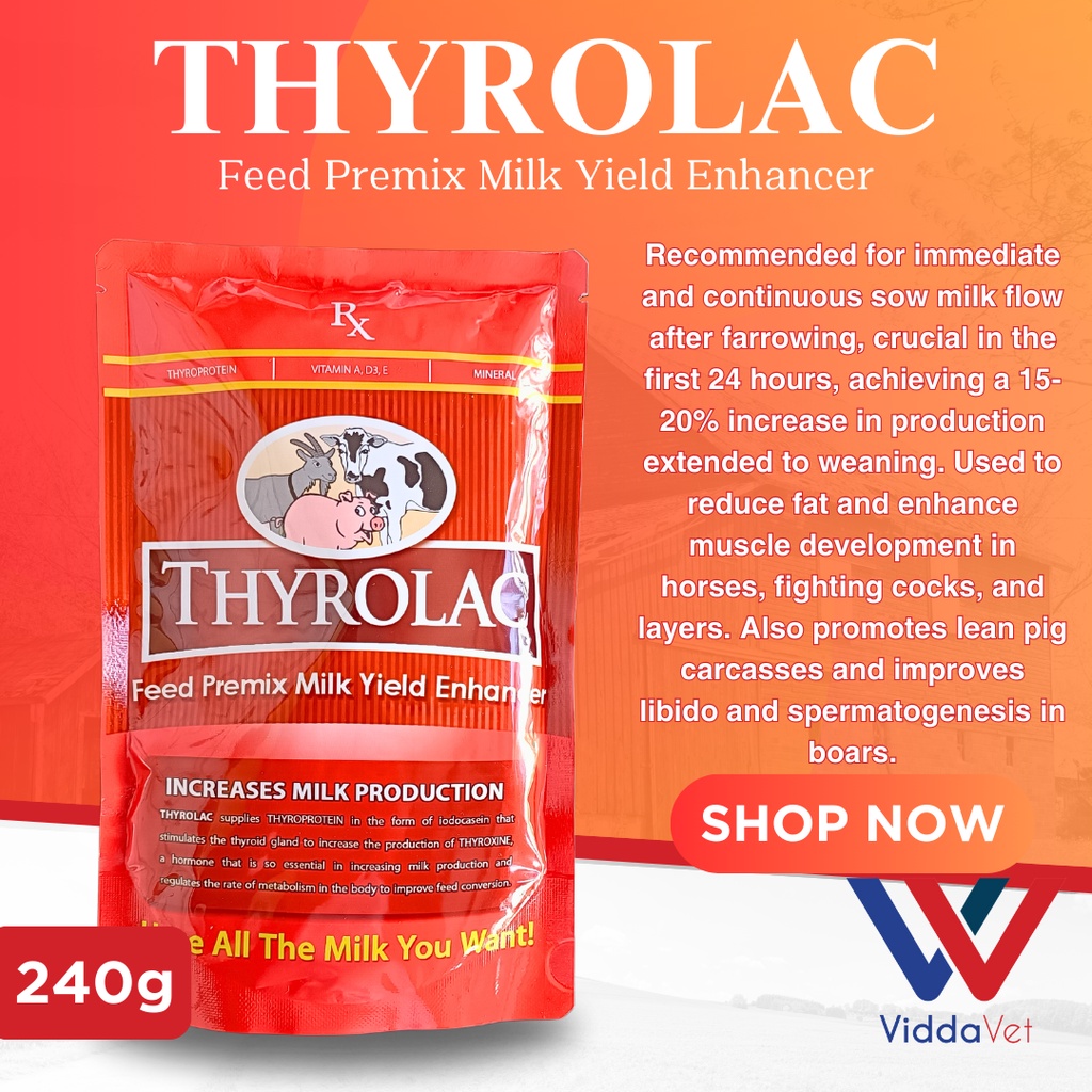 240g Thyrolac Feed Premix Milk Yield Enhancer for pigs, cattle, goats ...