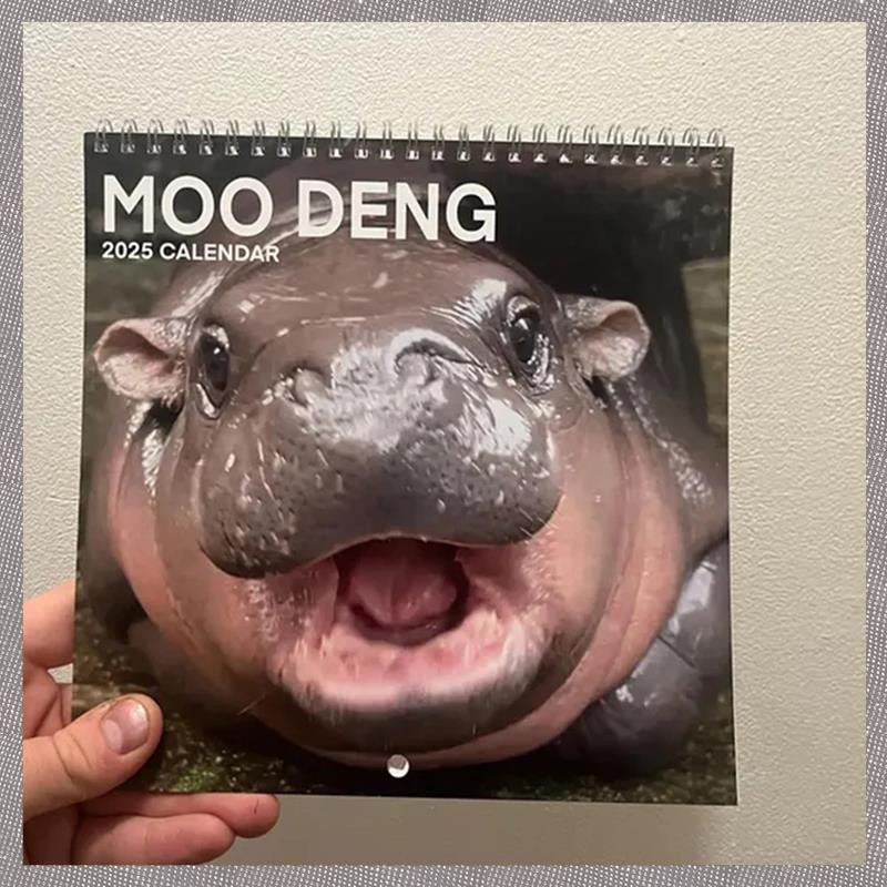 [U L Z R] Moo Deng Calendar 2025 Desk Calendar & Calendar , Moo Deng ...