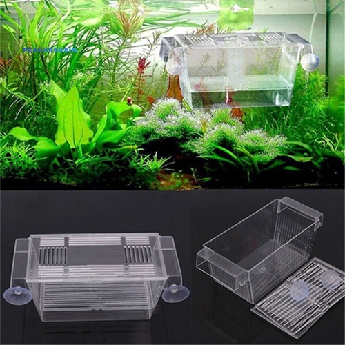 PEP-Aquarium Fish Tank Guppy Double Breeding Breeder Rearing Trap Box ...