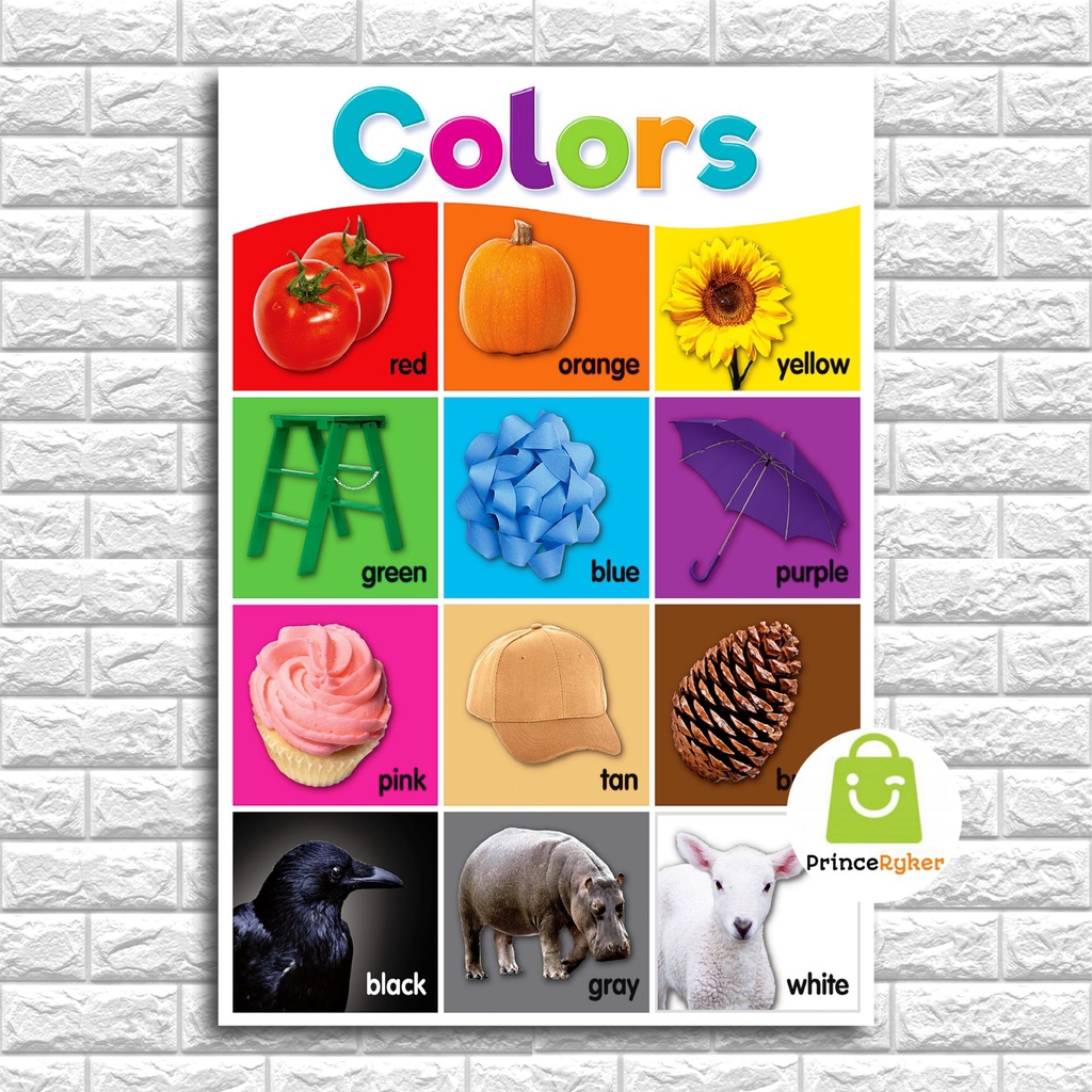 Educational Colors Chart | A4 Size Laminated Chart | Colors , Kids ...