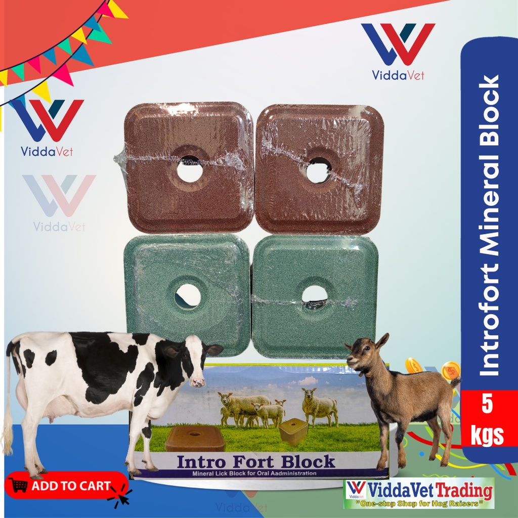 PowerMin Mineral Blocks - Optimize Health & Performance Goats Mineral ...