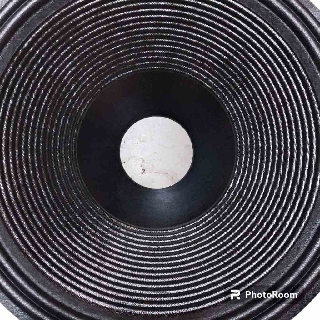 SPEAKER CONE 18 INCHES PA INSTRUMENTAL WITH 100 mm THROAT SIZE PA1860 ...