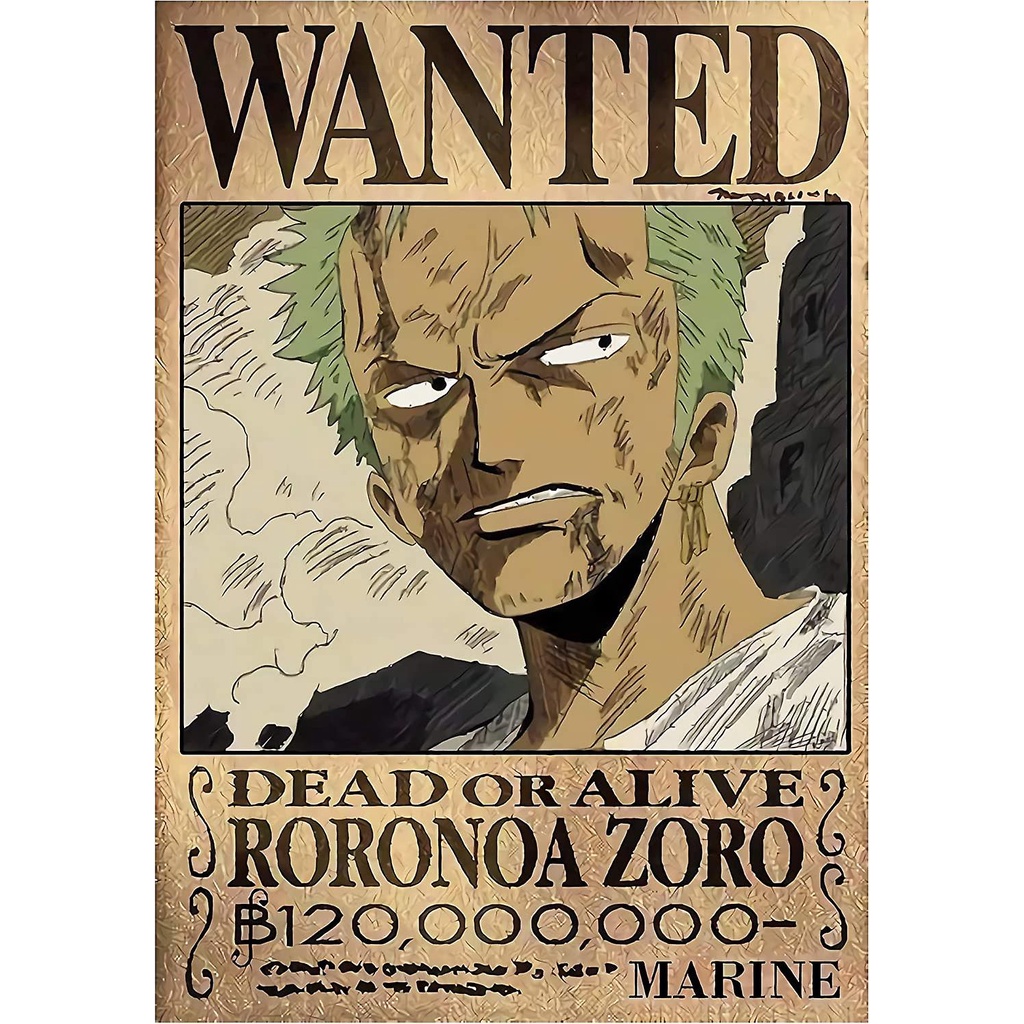 One Piece Roronoa Zoro Posters Japan Anime Metel Tin Signs Decorative ...