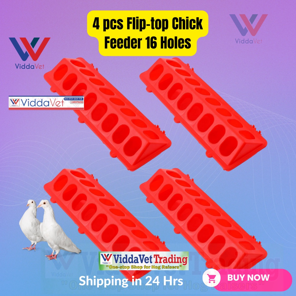 Viddavet 4 pcs chick feeder parrot automatic chicken feeder feeder ...
