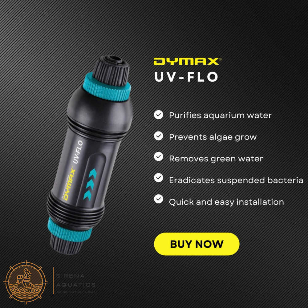 DYMAX UV-FLO 5W - Efficient UV Sterilizer for Aquariums | Shopee Philippines