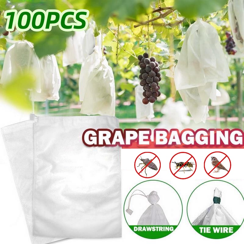 100PCS Grape Bag Drawstring Style Vegetable Fruit Protection Bags ...