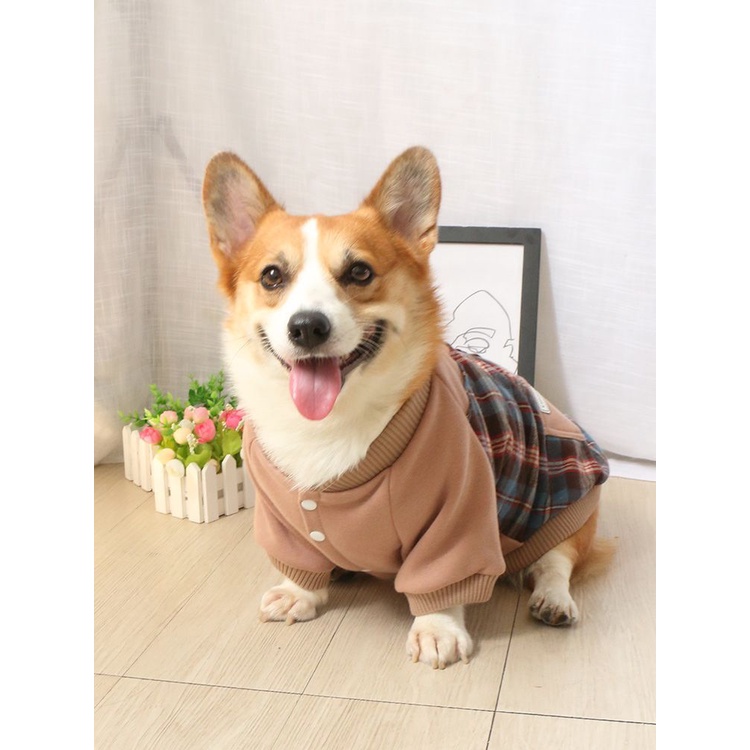 Corgi Dog Clothes Autumn Winter Autumn Winter Clothes Winter Thickened ...