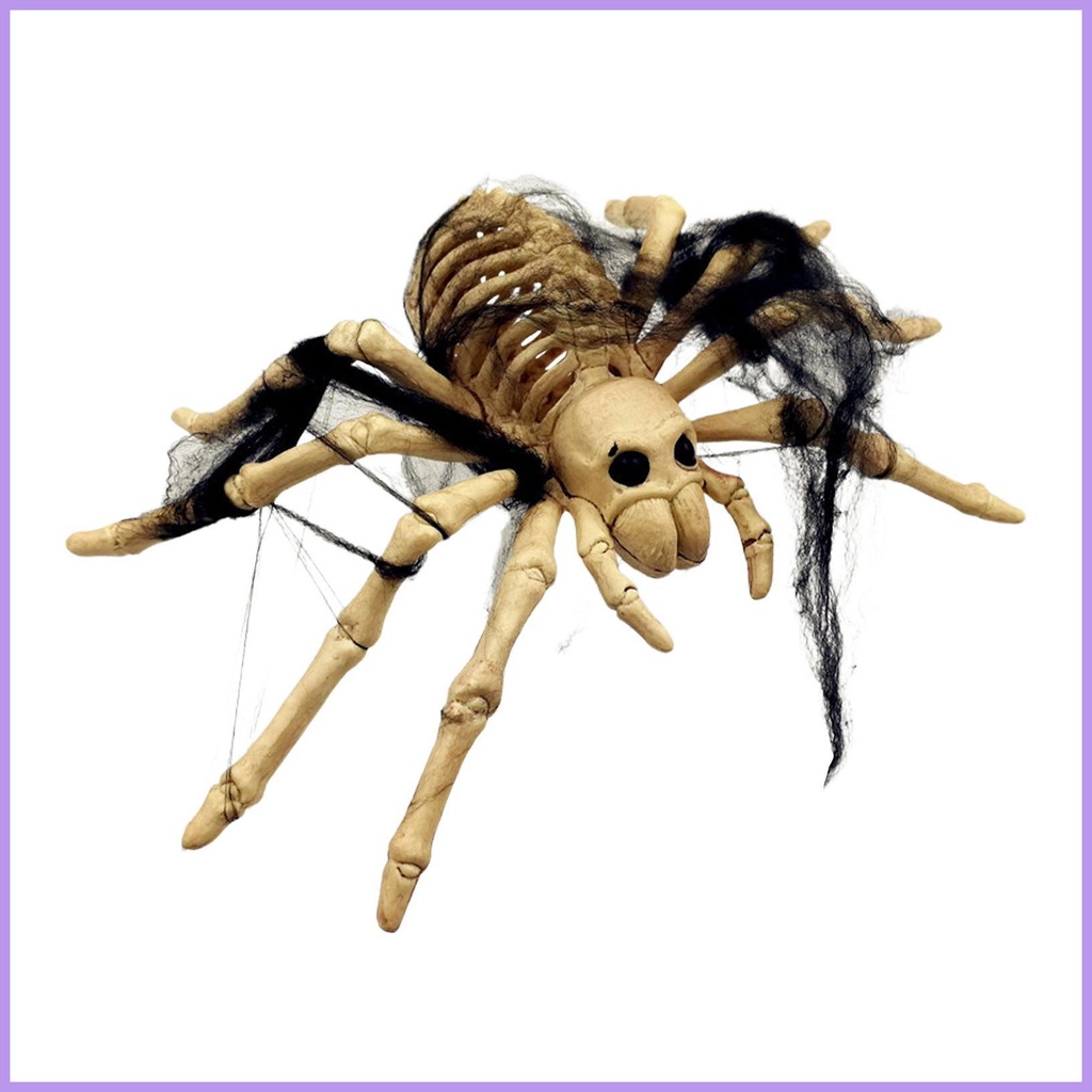 Halloween Spider Skeletons Halloween Pose Skeleton Prop with Posable ...