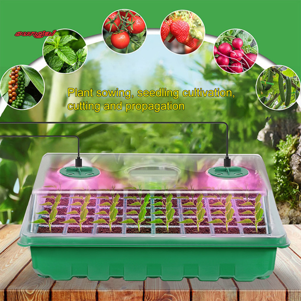 SUN_ Transparent Lid for Seeds Growth Plants Nursery Box Grow Your Own ...