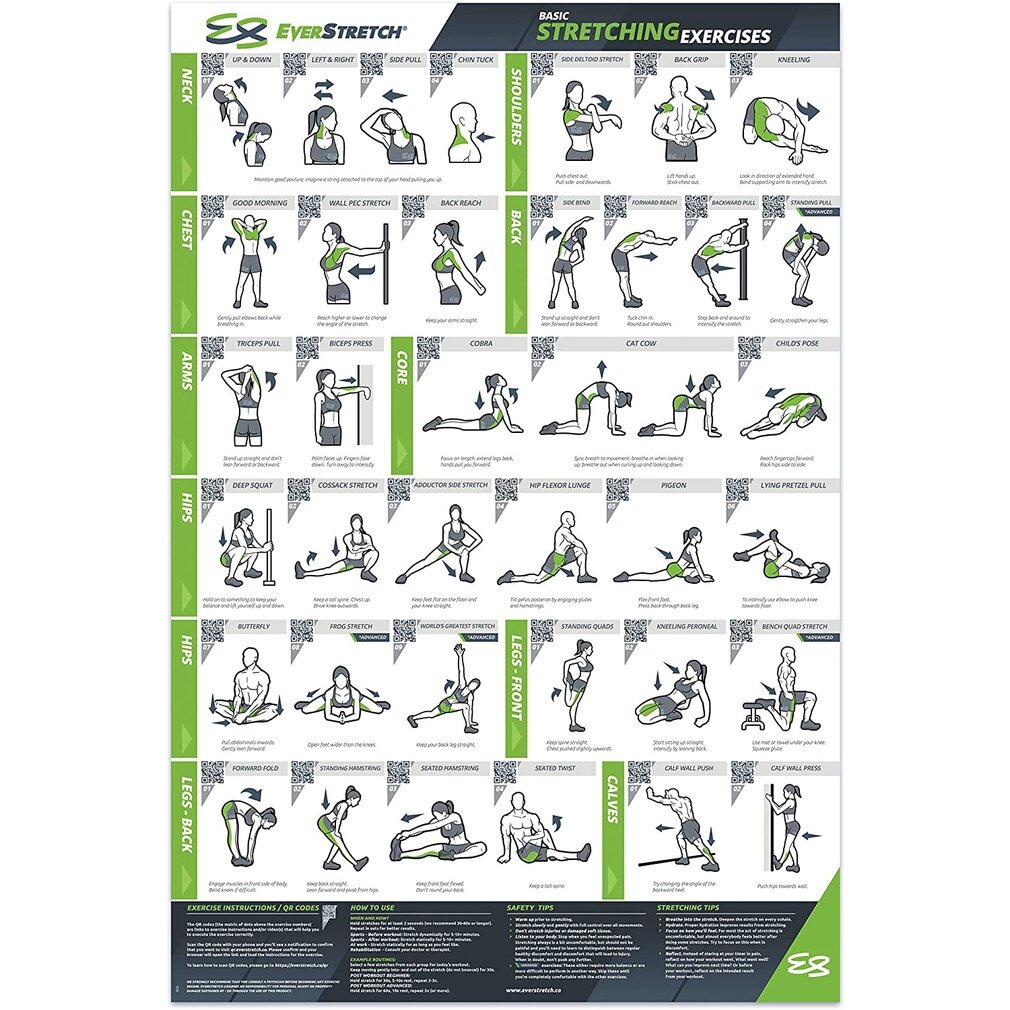 Basic Stretching Poster For Home Gymlaminated Workout Poster with ...
