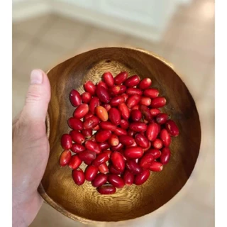 Shop miracle fruit for Sale on Shopee Philippines