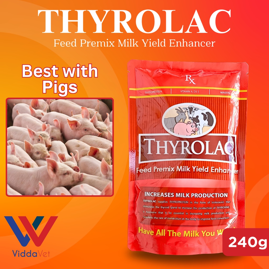 240g Thyrolac Feed Premix Milk Yield Enhancer for pigs, cattle, goats ...