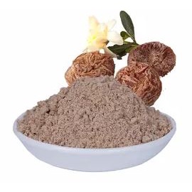 Sour Plum Powder 酸梅粉 Serbuk Asam Boi Sweet Sour | Shopee Philippines