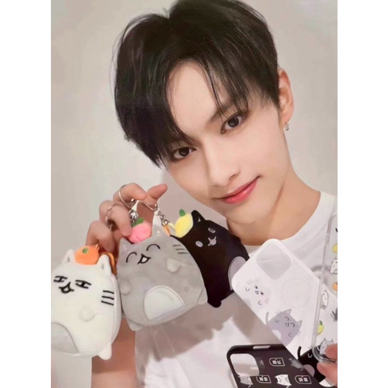 Kpop Seventeen JUN Liquid Cat FIFI Cat Doll Bag Charm Keychain | Shopee ...