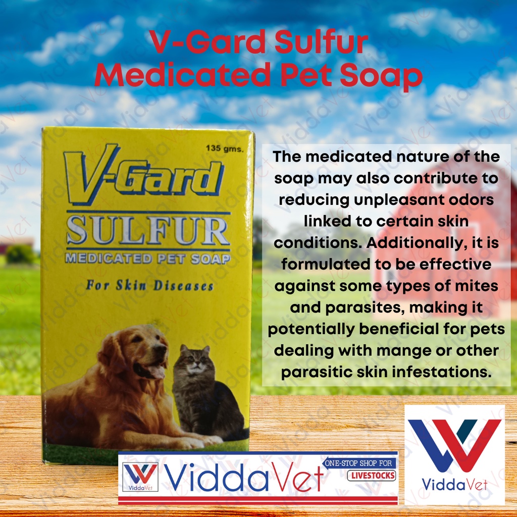 V-GARD SULFUR Medicated pet soap for skin diseases fog dogs vgard ...