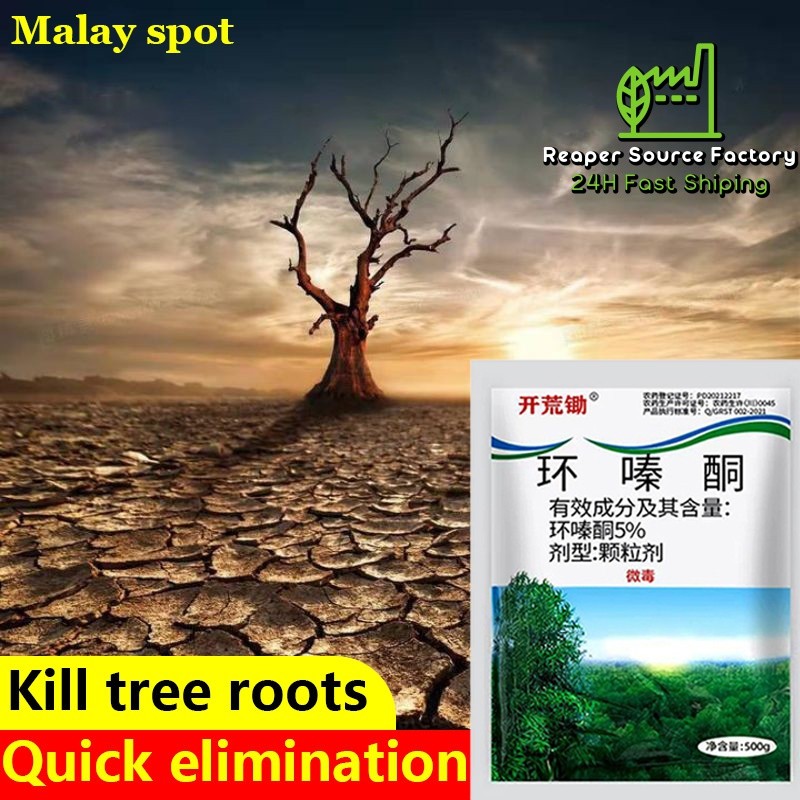 500 gweeping and root rot for all seasons most dead grass root poison ...