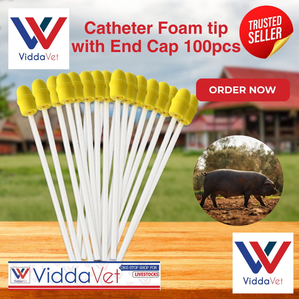 Pig Catheter with end cap for gilts for pigs 100pcs pig AI catheter ...