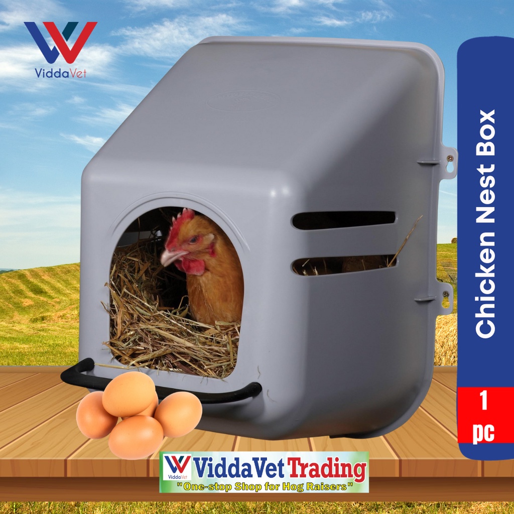 Feathered Sanctuary - Cozy Plastic Chicken Nest Box for Laying Hens ...