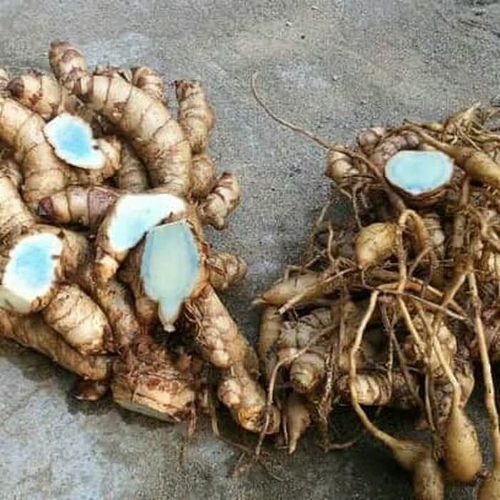 New Temu ireng - black turmeric 500 grams COD | Shopee Philippines