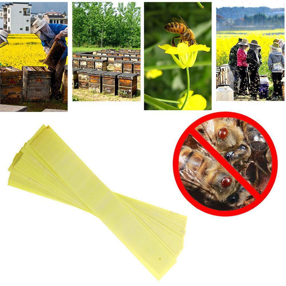 20-Strip Flumethrin Mite Strips for Bees, Honey Bee Equipment ...