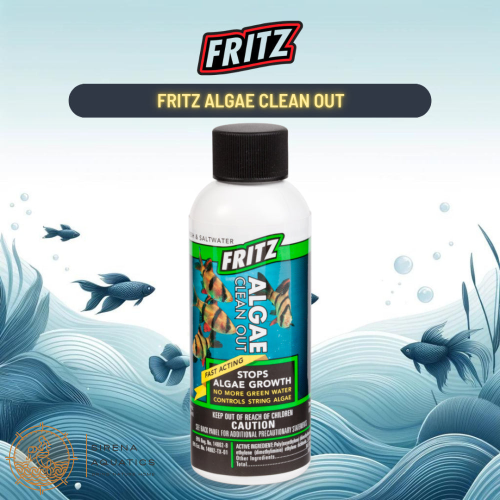 Fritz Algae Clean Out - Powerful Algaecide for Freshwater & Saltwater ...