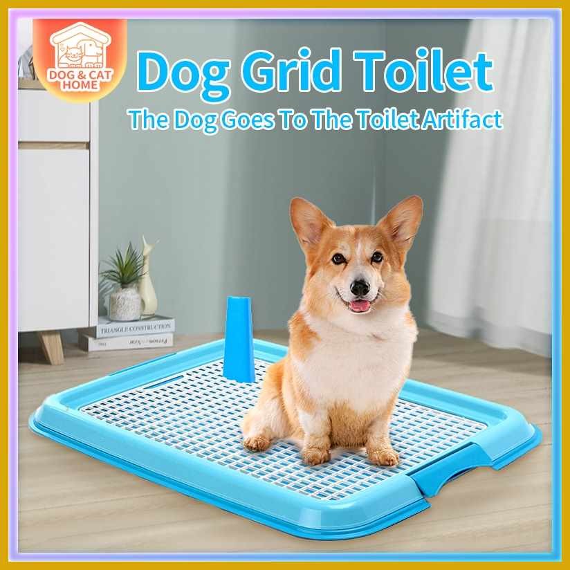 Dog!o|Training#T&NF`Potty;dD`Pad;mL`Dog;s`Toilet:U_Potty:z`Trainer Tray ...