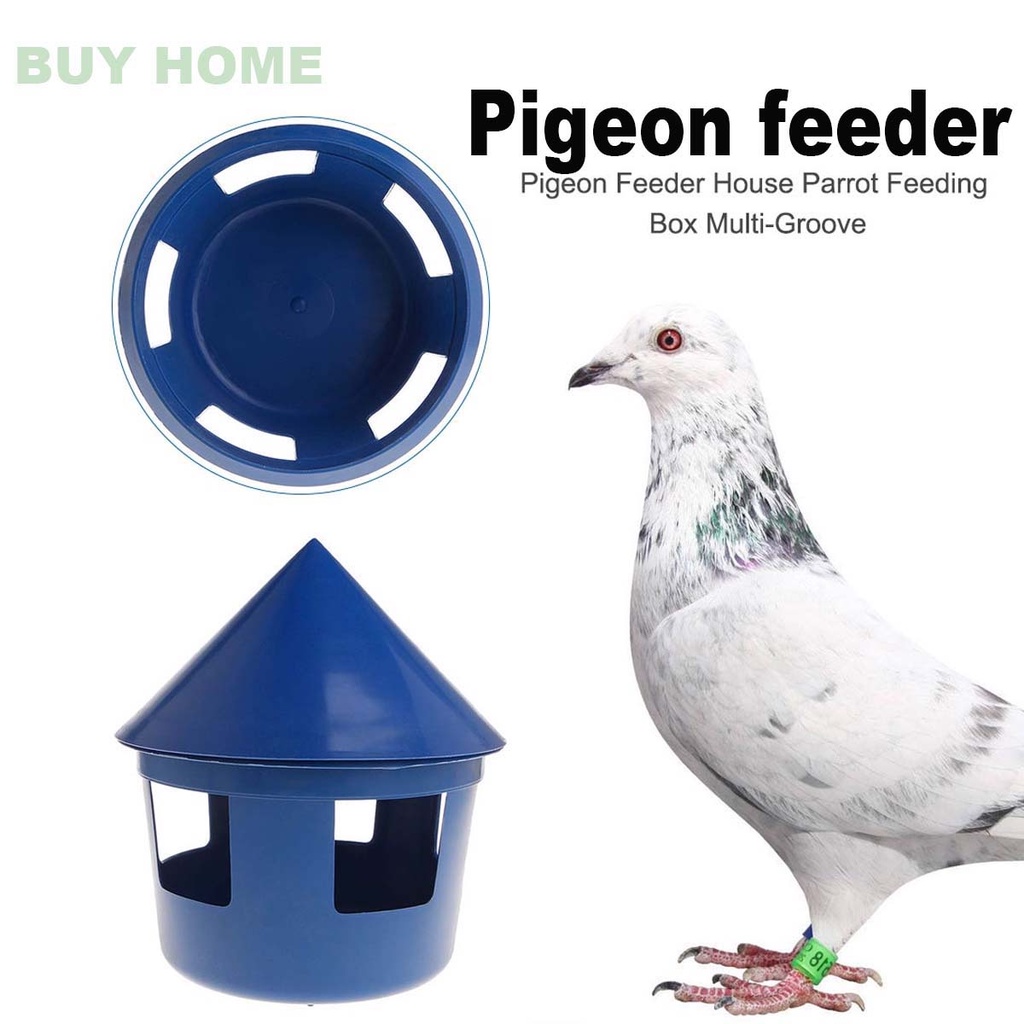 Bird Pigeon Feeder Multifunctional Pigeon Drinker Plastic Pet Bird ...