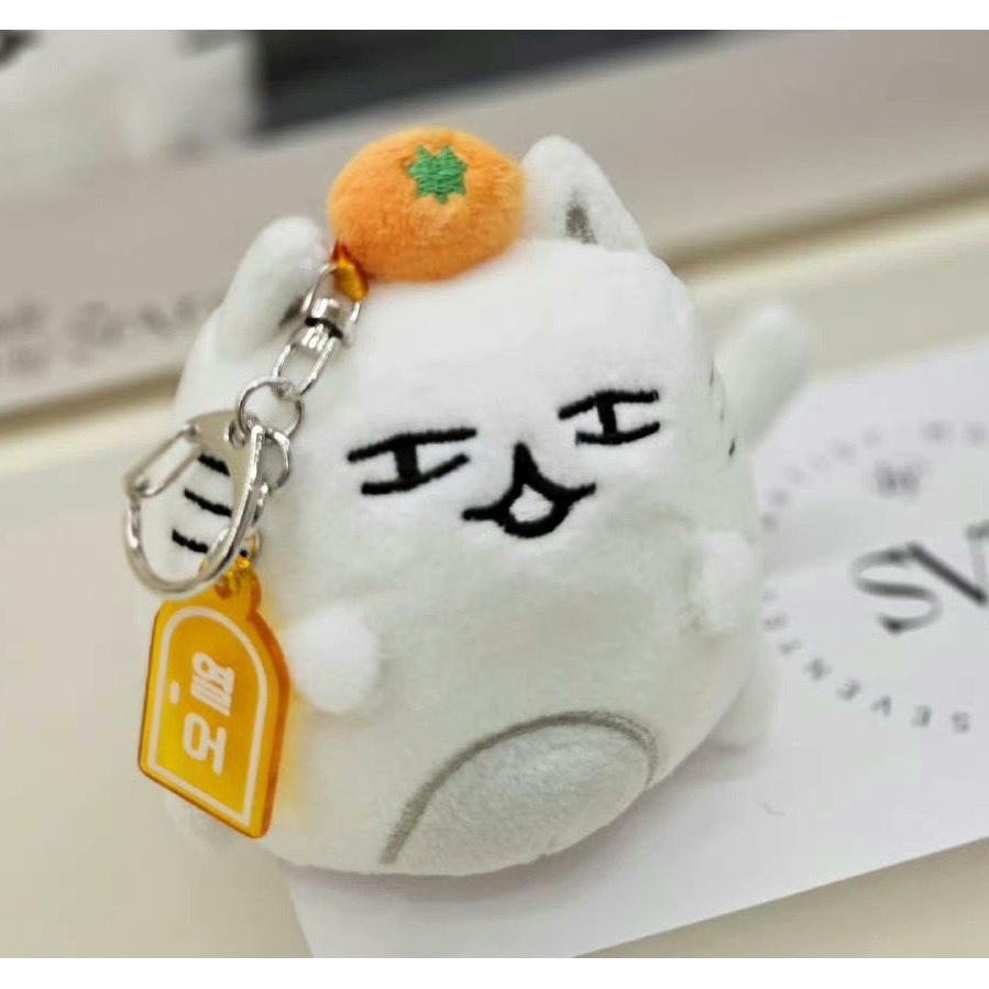 Kpop Seventeen JUN Liquid Cat FIFI Cat Doll Bag Charm Keychain | Shopee ...