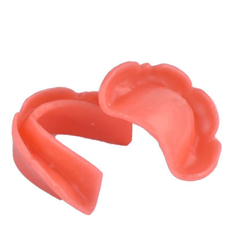 Dental Model Student Learning Teaching Upper and Lower Jaws Model Wax ...