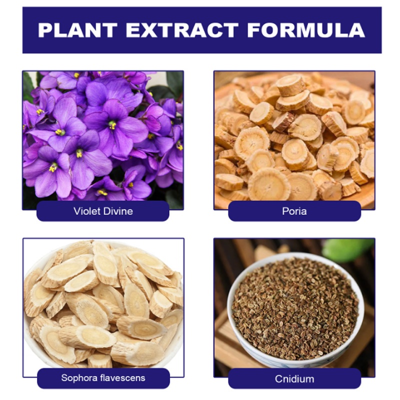 Psoriasis Antibacterial Cream Dermatitis Eczematoid Ointment Effective ...