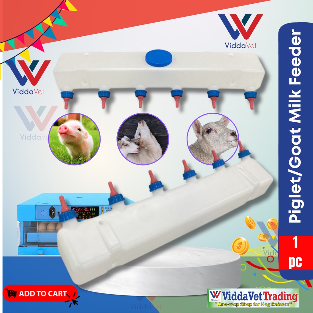 6 Slot Piglet Milk FeederPiglet Feeding Automatic FeederPiglets Milk ...