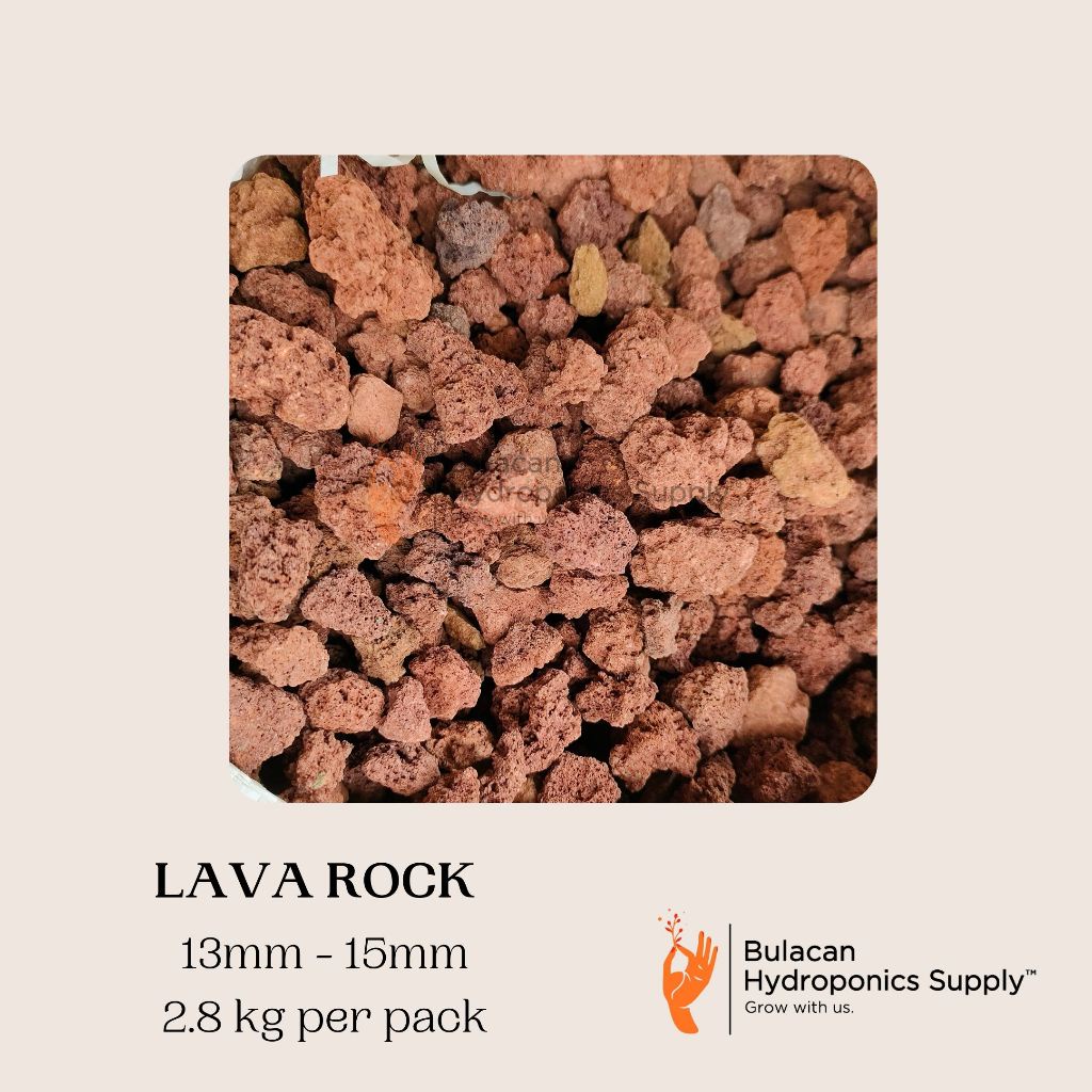 Authentic Lava Rock | 2.8Kg Per Order | 13mm - 15mm | Shopee Philippines